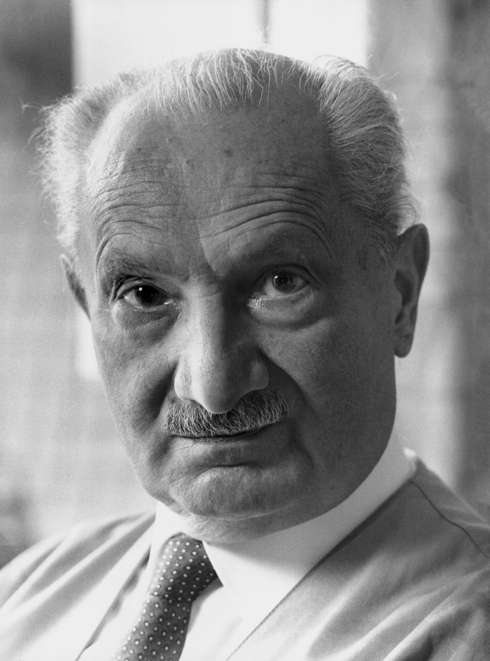 Heidegger hyllade både friheten och Hitler – nu älskas han av AfD ...